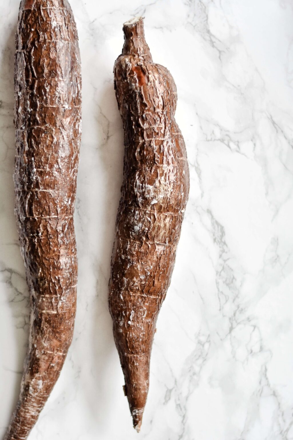 Chilli Mogo - Shivani Loves Food